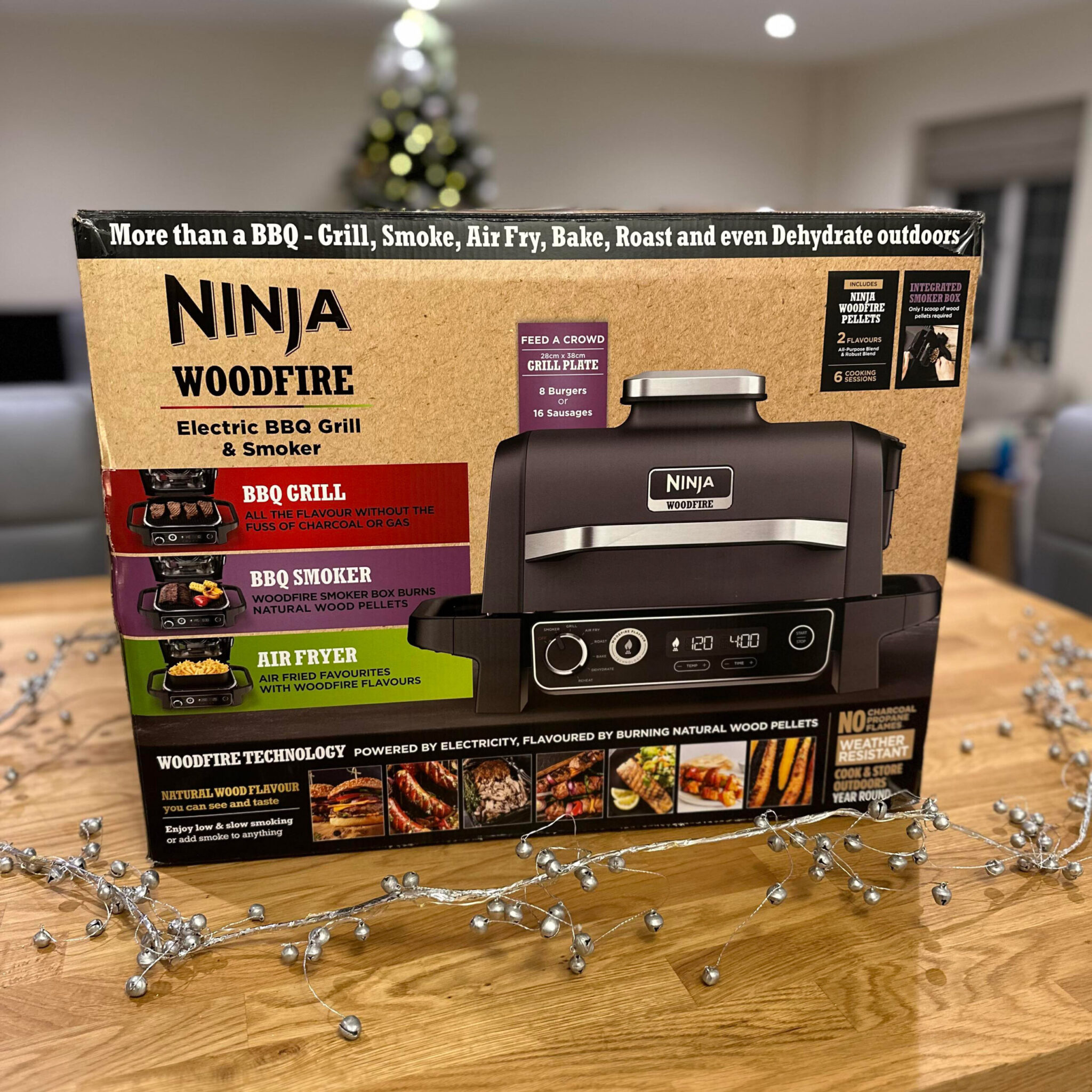 Ninja Woodfire Grill Review: Compact Powerhouse with Smoky Flavour ...