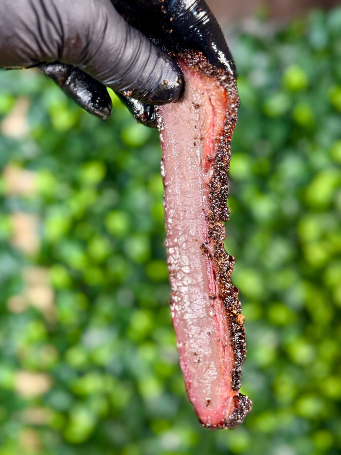 BBQ Recipes by Protein - Smoke & Sear - BBQ Recipes, Tips, and Outdoor ...